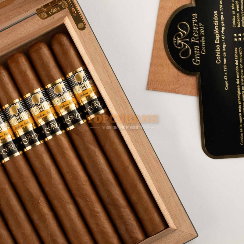 Prestigious Cuban & World Cigars | Collector-Grade Selections - Top ...